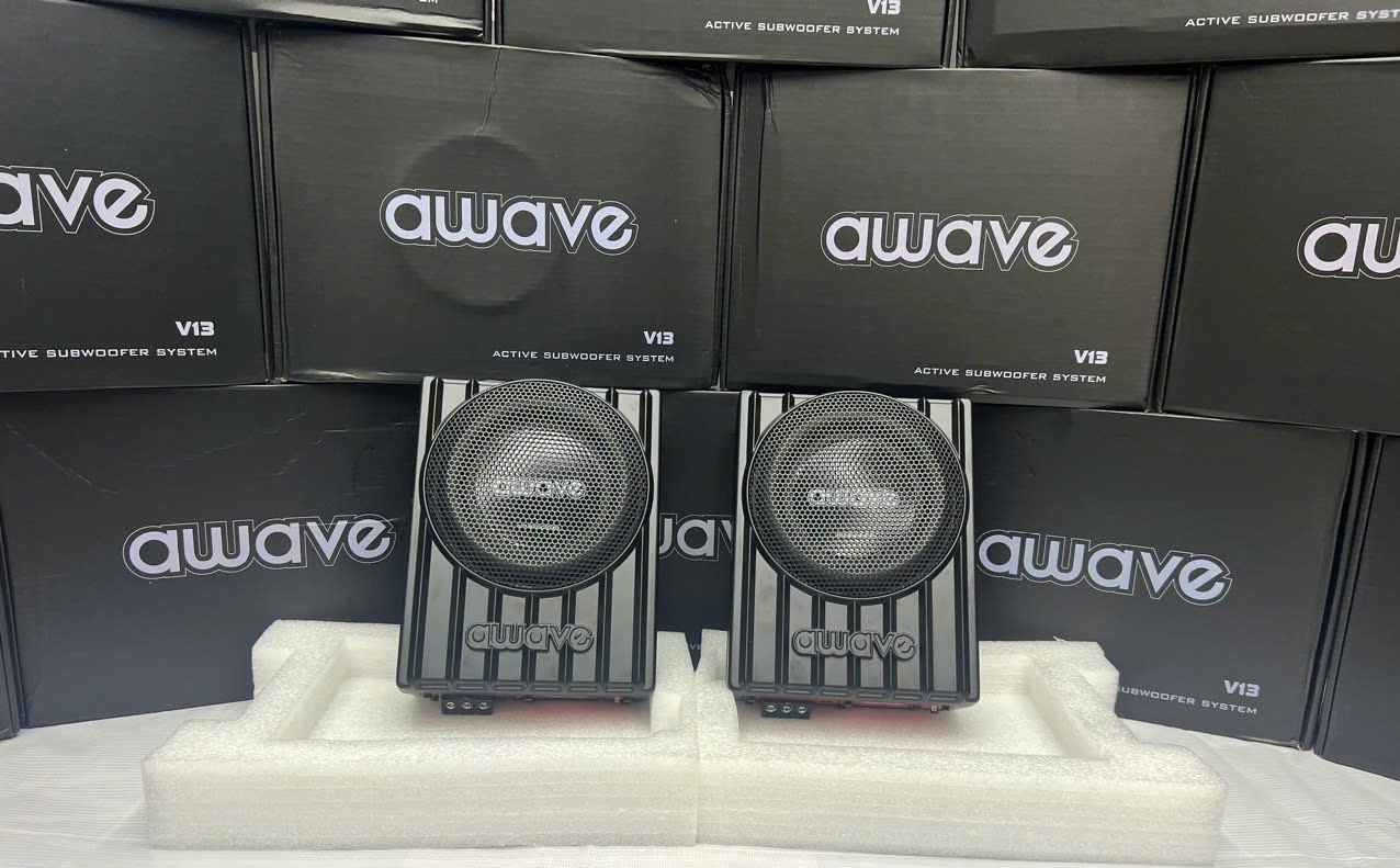 Loa Subwoofer điện Gầm Ghế Awave V13